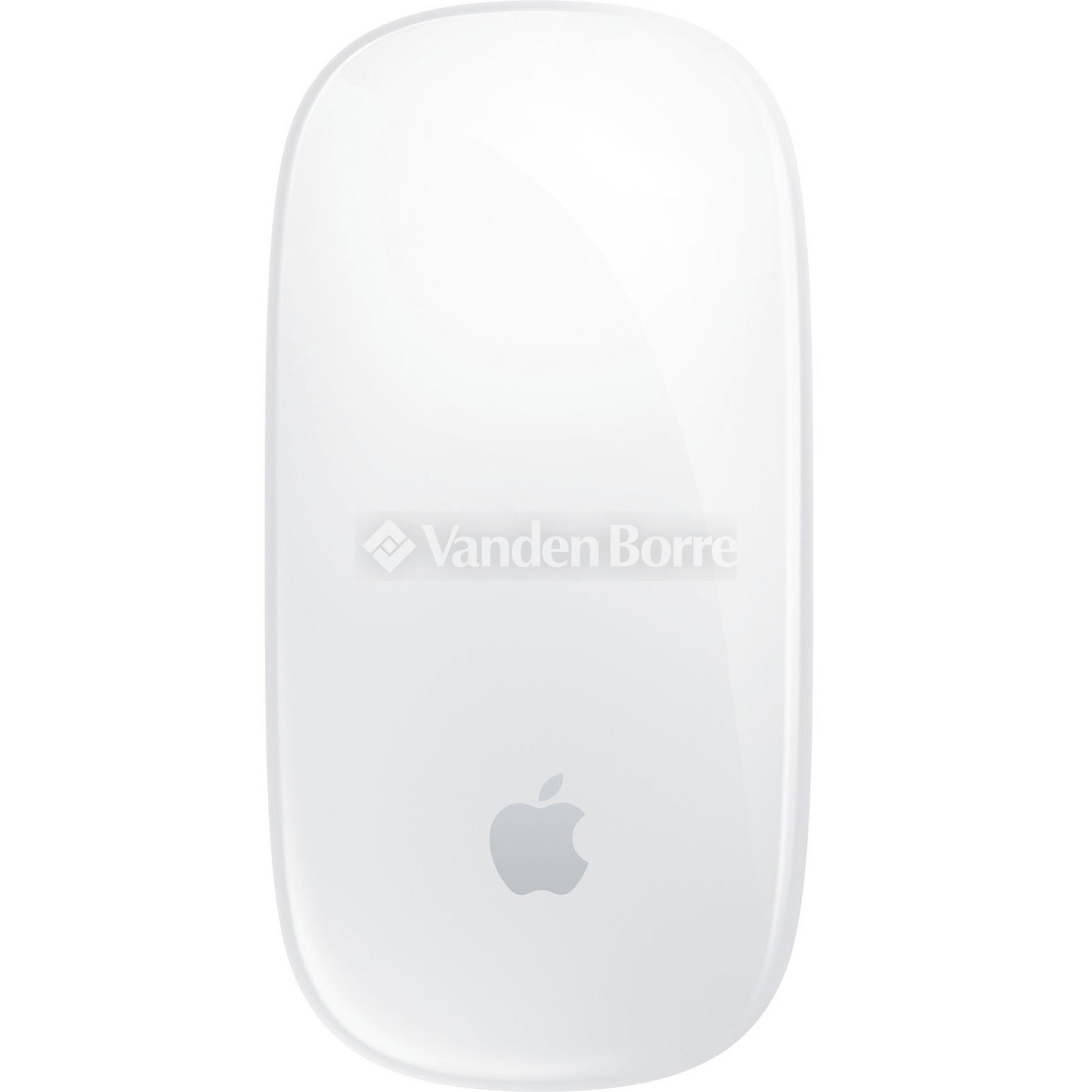 APPLE MAGIC MOUSE 2024 WHITE WIRELESS - MUIS | Vanden Borre