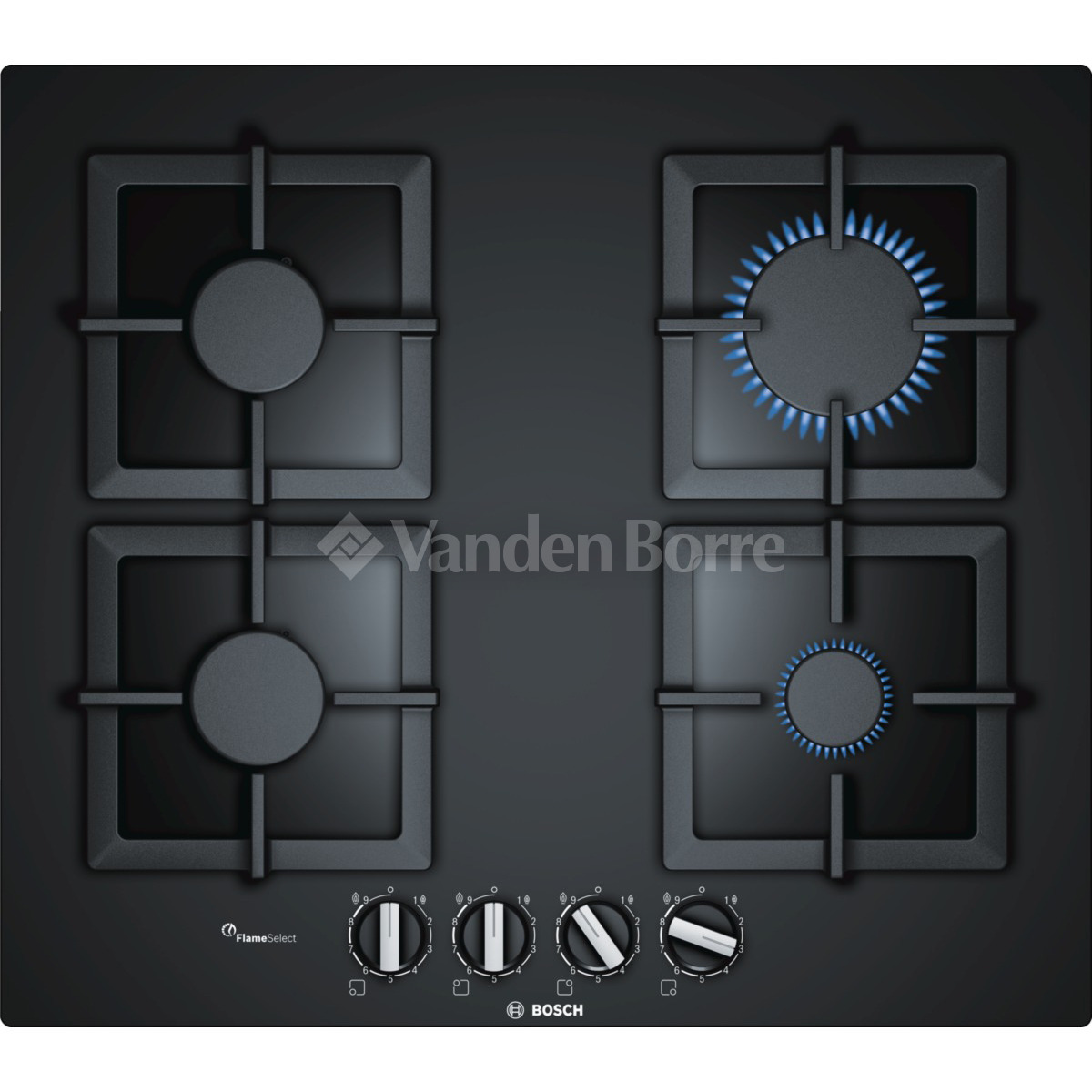 BOSCH SERIE 6 PPP6A6B20 - GASKOOKPLAAT | Vanden Borre