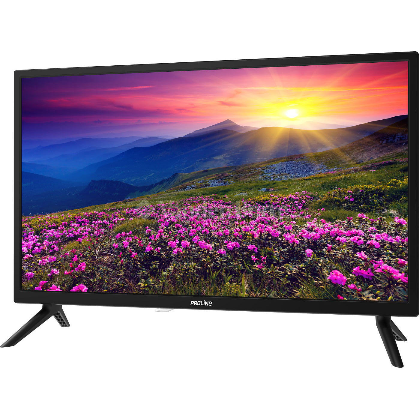 PROLINE TV HD 24 INCH L2420HD | Vanden Borre