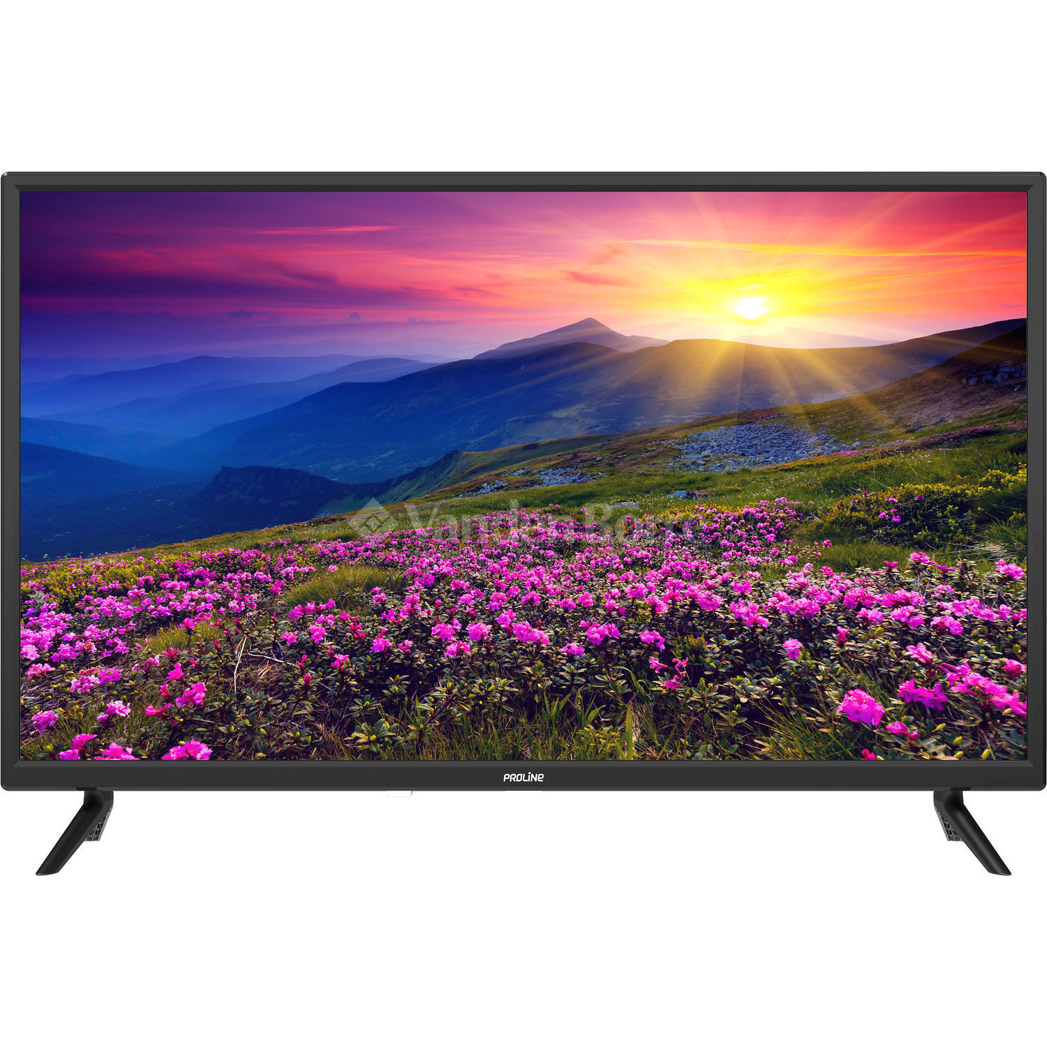 TV PROLINE LED HD 32 POUCES L3220HD | Vanden Borre
