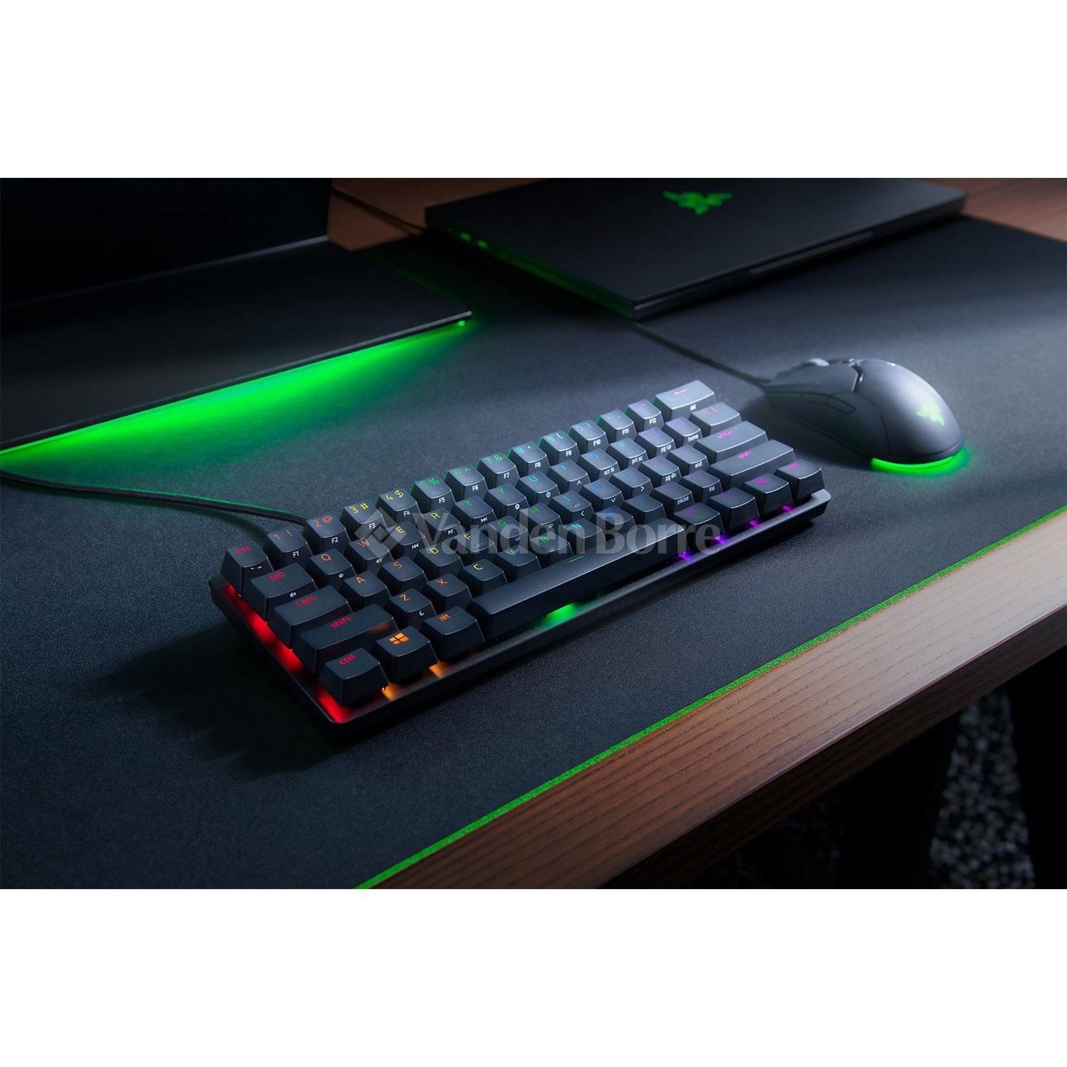 CLAVIER GAMING RAZER RAZER HUNTSMAN MINI KEYBO | Vanden Borre